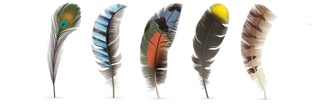 Lebewesen Bestimmen | Survivalshop und Wildnisschule Heiko Gärtner ...